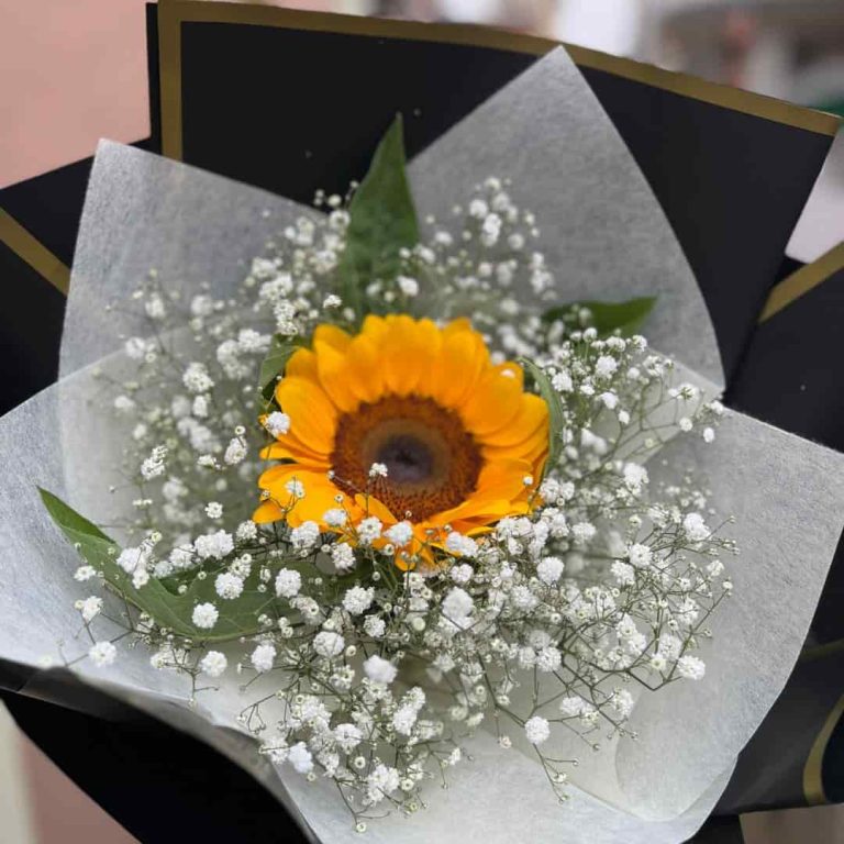 Sunflower with Bundle Gypsy - NauloKoseli.com