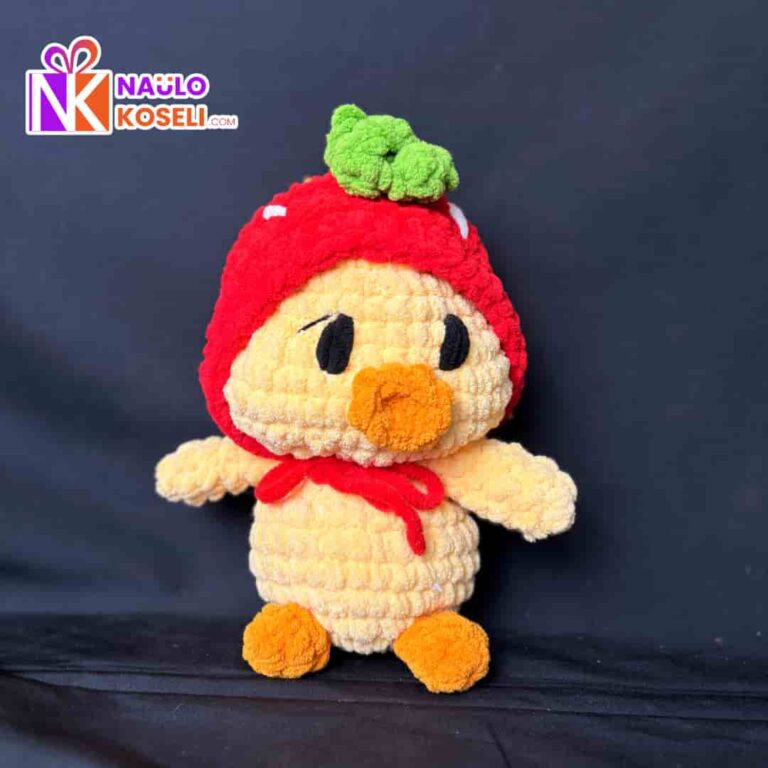 Handmade baby duck wearing hat - NauloKoseli.com